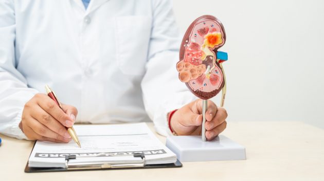 The Heart-Kidney Connection: Protect Both | Dr. David Samadi